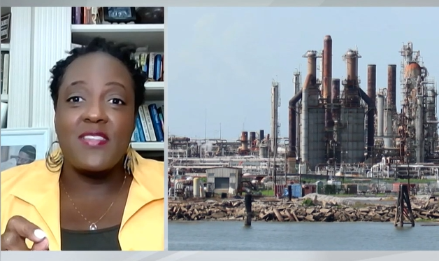 Heather McTeer Toney on recent chemical disasters in Texas and ...